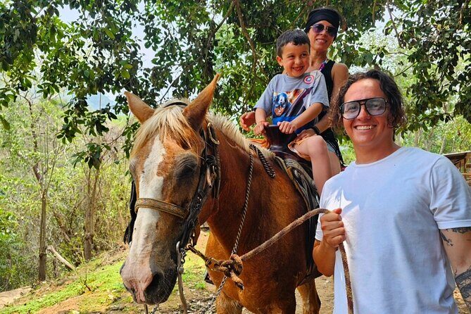 Hands-on Mexican Farm Experience: from Cow to Cheese - Key Points