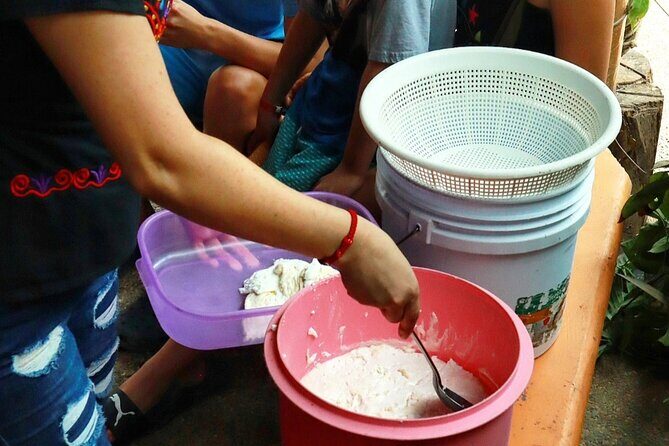 Hands-on Mexican Farm Experience: from Cow to Cheese - What Sets This Tour Apart?