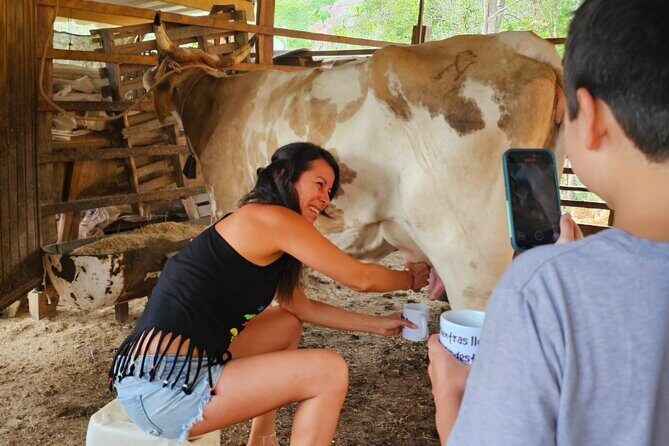 Hands-on Mexican Farm Experience: from Cow to Cheese - The Practical Bottom Line: Is It Worth It?