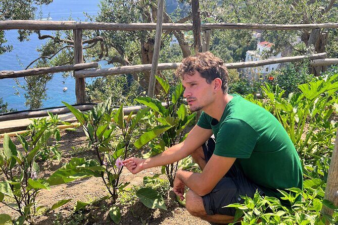 Hands-On Pizza Making Class & Farmhouse Tour with Sea Views - FAQs