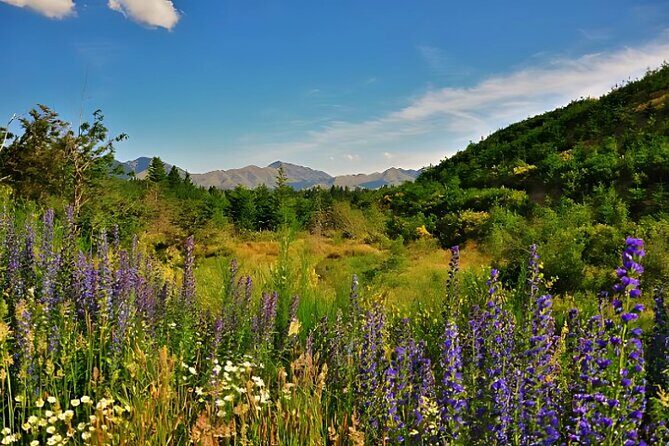 Hanmer Springs Pool Day Tour From Christchurch - A Drive Through Waiau and Beyond