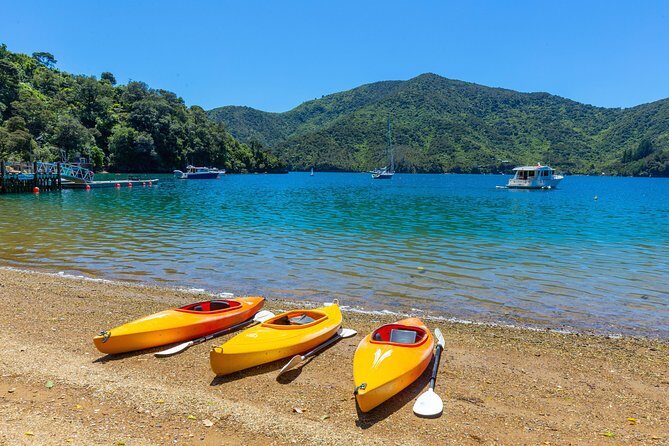 Happy Hour Cruise to Lochmara -from Picton? Take a short cruise - The Itinerary: What to Expect on the Happy Hour Cruise