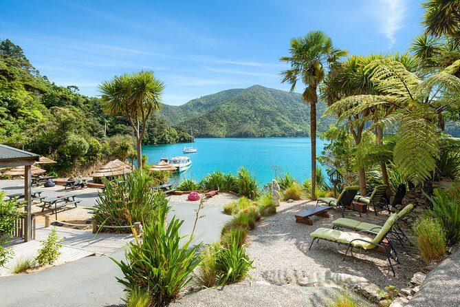 Happy Hour Cruise to Lochmara -from Picton? Take a short cruise - The Value and Practicalities