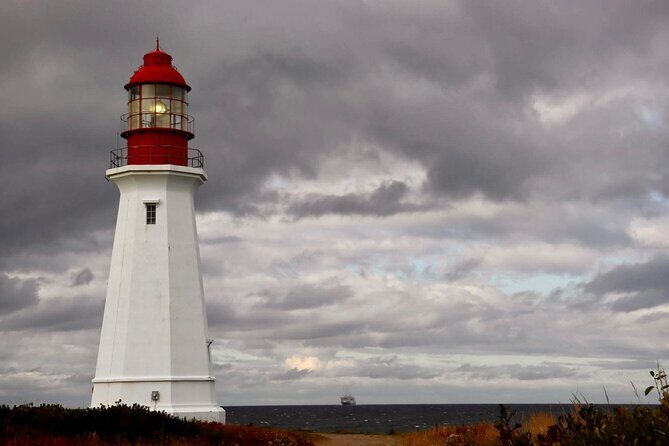Harbor Highlights: Sydney City Tour - Key Points