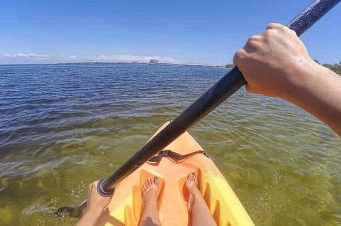 Harbor Kayak Rental in Destin, Florida - Unpacking the Experience: What to Expect from Harbor Kayak Rental