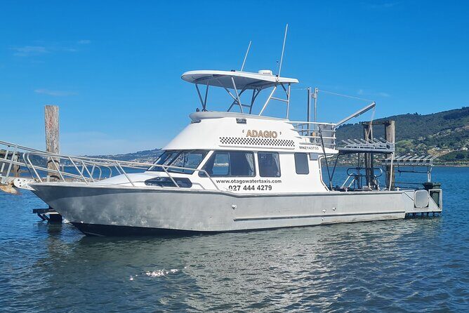 Harbour, Albatross and Wildlife Cruise on Otago Harbour - Key Points: