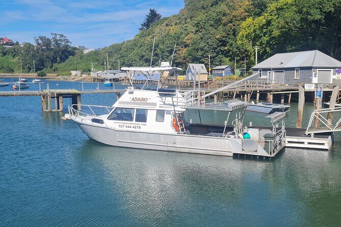 Harbour, Albatross and Wildlife Cruise on Otago Harbour - Final Thoughts: Who Will Love This?