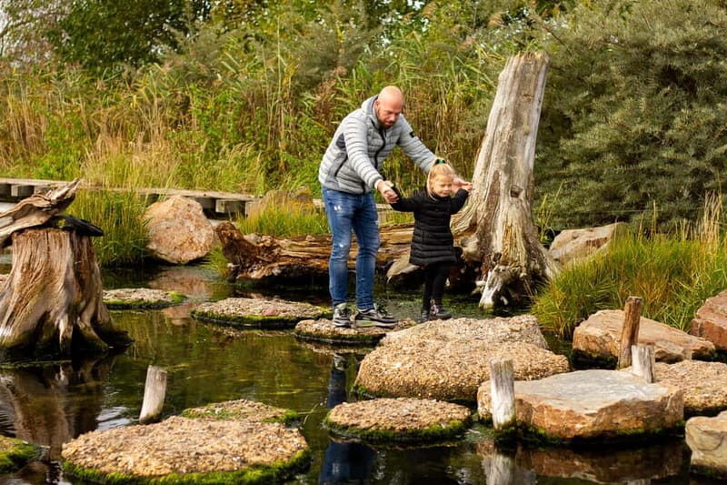 Harderwijk: Dolfinarium Entry Ticket - An In-Depth Look at the Dolfinarium Experience