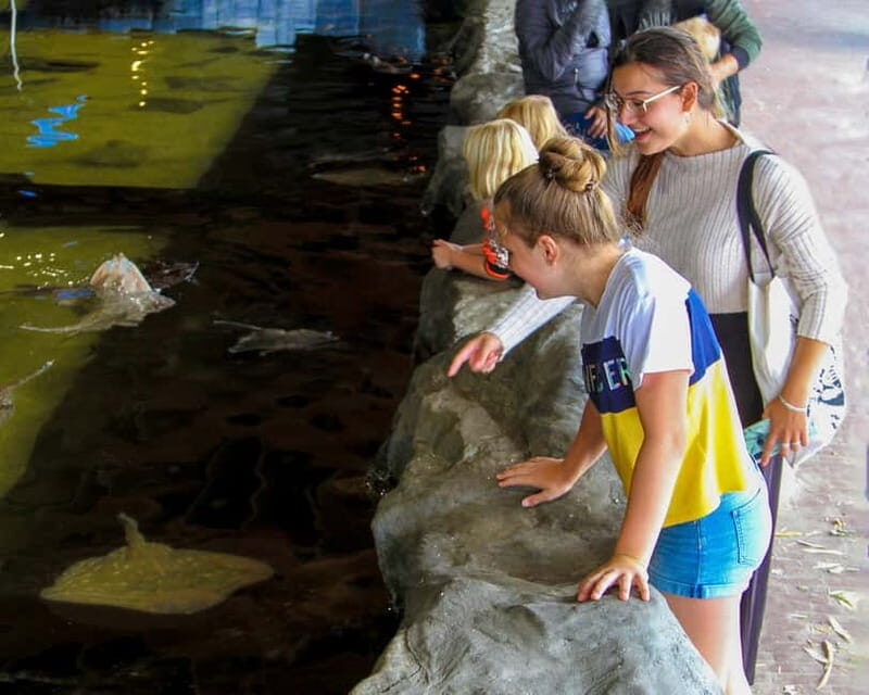 Harderwijk: Dolfinarium Entry Ticket - Frequently Asked Questions (FAQs)