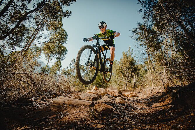 Hardtail Mountain Bike Rental in Breckenridge - A Practical Guide to Your Breckenridge Bike Rental Experience