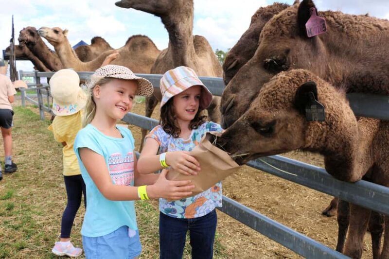 Harrisville: Summer Land Camel Farm Tour with Tasting - A Deep Dive into the Camel Farm Experience