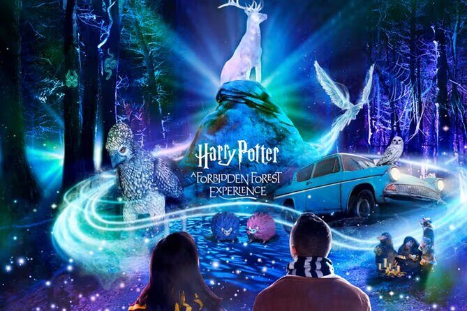 Harry Potter A Forbidden Forest Experience in Brisbane Australia - An enchanting outdoor adventure for Harry Potter fans