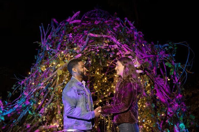 Harry Potter A Forbidden Forest Experience in Brisbane Australia - Key Points