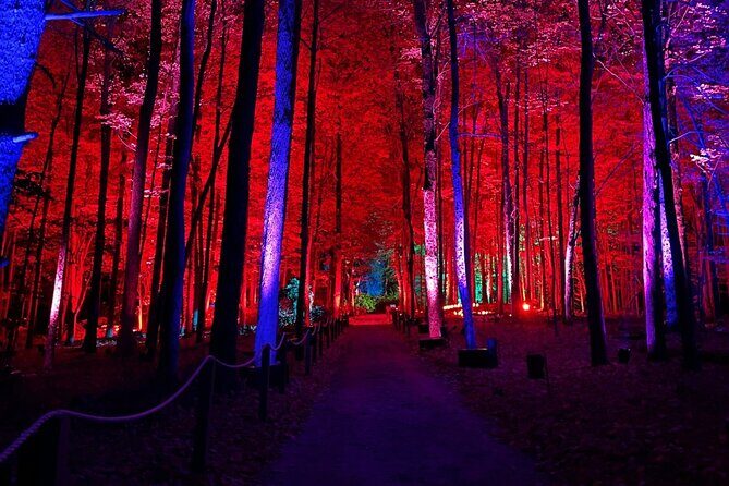 Harry Potter A Forbidden Forest Experience in Brisbane Australia - FAQ