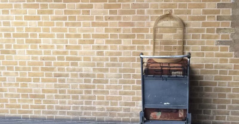 Harry Potter Private Tour of London in Spanish - Key Points