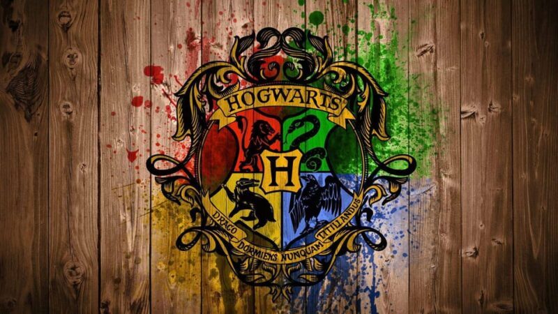 Harry Potter Private Tour of London in Spanish - Authentic Feedback: Pros and Cons