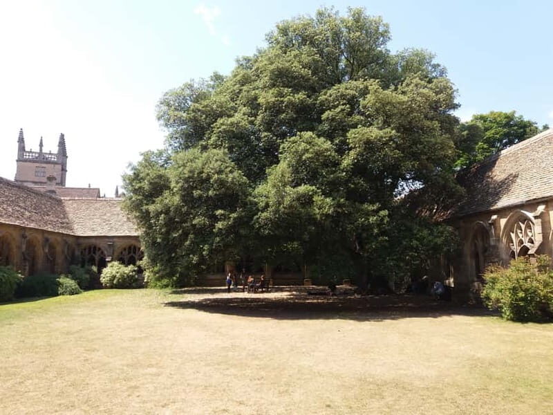 Harry Potter Tour New College Private Group Tour - The Experience: Breaking Down the Itinerary