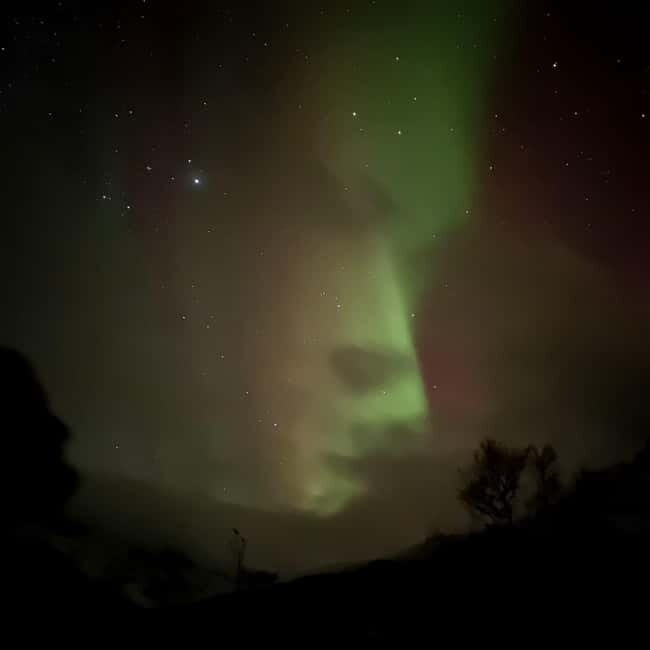 Harstad/Narvik: Northern Lights Tours with Second Day Chance - Final Thoughts