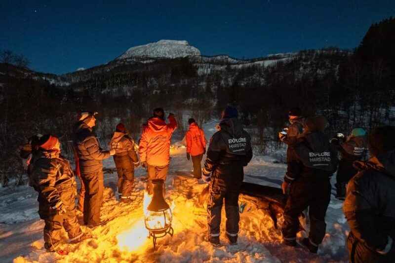 Harstad: Northern Lights Hunt on Hinnøya Island - Final Thoughts: Is This Tour Worth It?