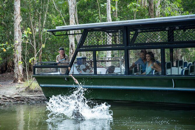 Hartley Crocodile Park with Kuranda, Skyrail Cableway and Train - The Sum Up: Who Will Love This Tour?