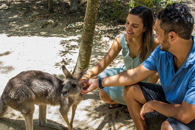 Hartley Crocodile Park with Kuranda, Skyrail Cableway and Train - FAQ
