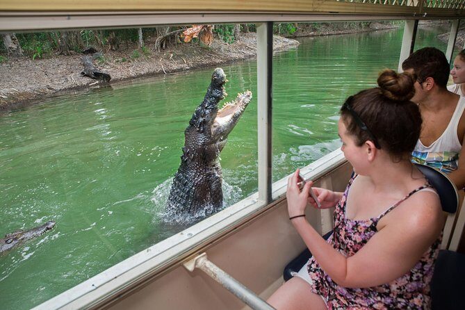 Hartley's Crocodile Adventures Day Trip from Palm Cove - What the Reviews Say