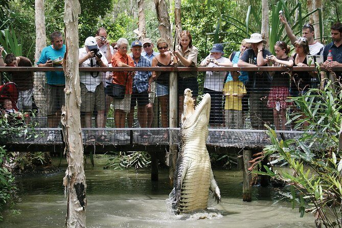 Hartleys Crocodile Adventures Half-Day Tour from Cairns - What We Like About This Tour