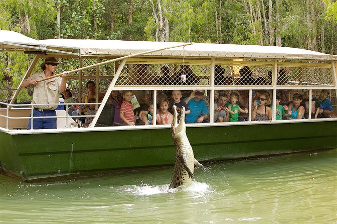 Hartleys Crocodile Adventures Half-Day Tour from Cairns - An In-Depth Look at the Tour Experience