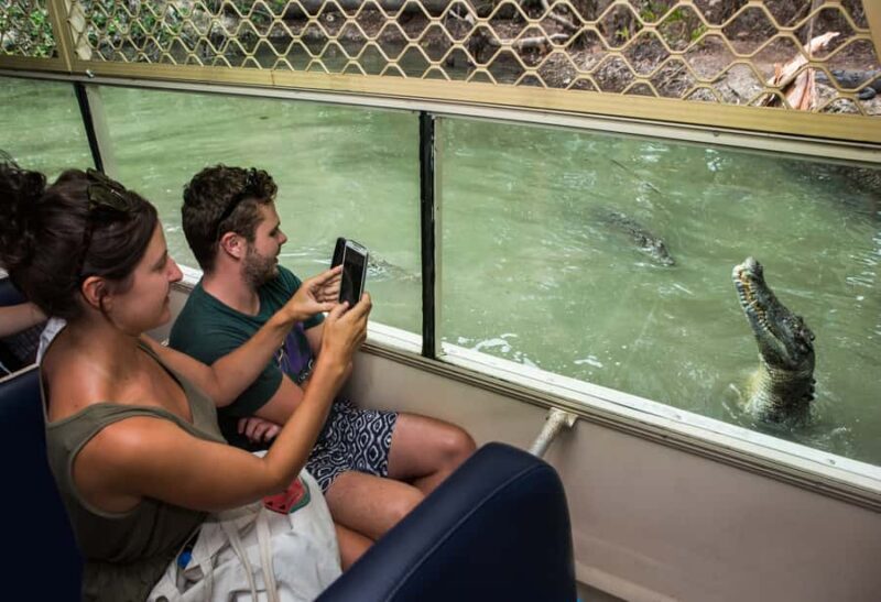 Hartley's Crocodile Adventures Park Entry - The Sum Up: Who Should Visit Hartleys Crocodile Adventures?