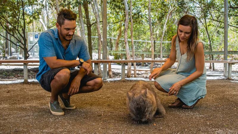 Hartley's Crocodile Adventures: Zootastic 5 + Entry Ticket - An In-Depth Look at the Hartleys Crocodile Adventures Experience