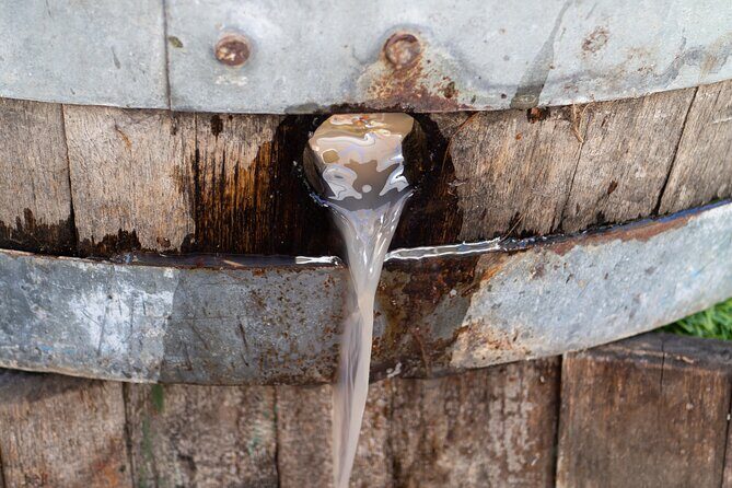 Harvest Like a Local: Grape Stomping with Wine Pairing Lunch - The Vineyard and Setting: Why It Matters