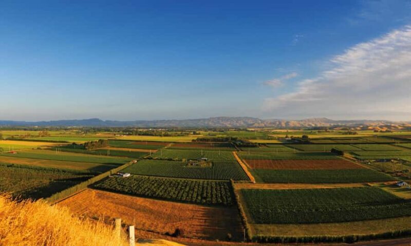 Hastings: Bridge Pa/Gimblett Winery Tour on a Regular Bike - What is Included and What You Need to Budget For