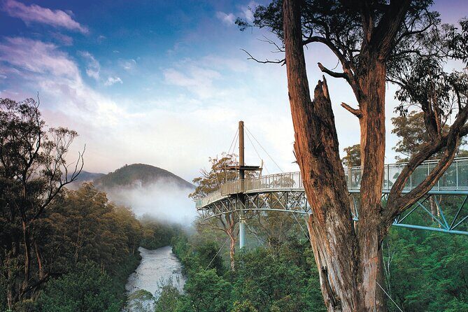 Hastings Caves, Tahune Airwalk and the Huon Tasting Trail - Transportation, Group Size, and Overall Value