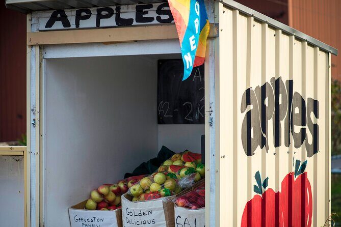 Hastings Caves, Tahune Airwalk and the Huon Tasting Trail - Final Thoughts