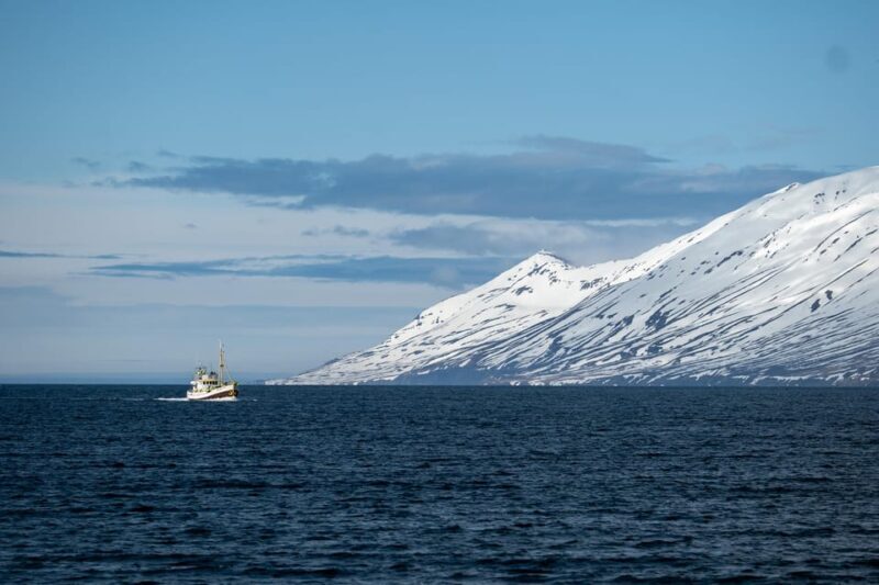 Hauganes: Whale Watching North Iceland - The Journey: From Shore to Whale Habitat