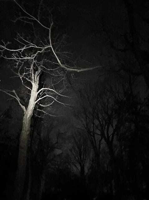 Haunted Mountain Ghost Walking Tour - FAQ