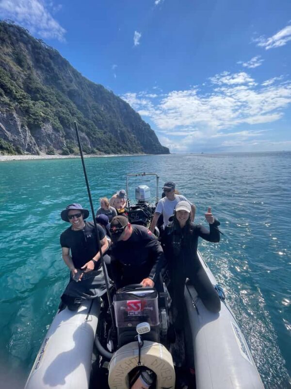 Hauraki Gulf: Hammerhead Experience Dive Charter - Exploring the Hauraki Gulf: A Closer Look at the Hammerhead Experience Dive Charter