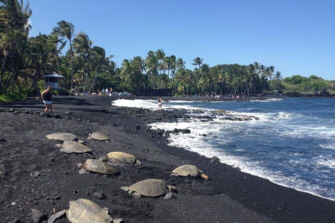 Hawaii Big Island Circle Small Group Tour: Waterfalls - Hilo - Volcano - Black Sand Beach - Key Points