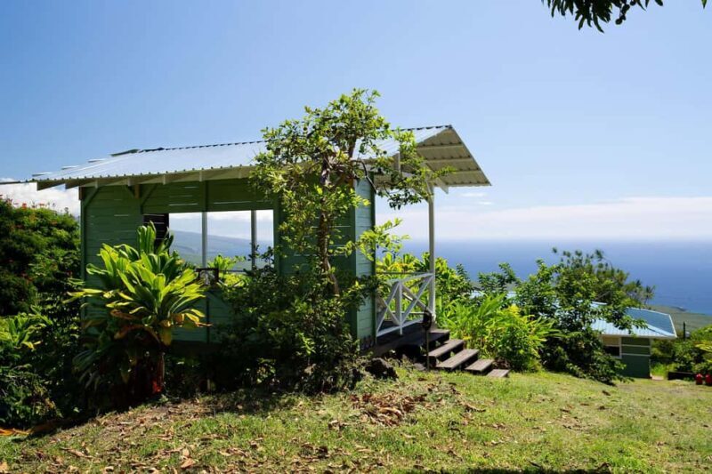 Hawaii: Hala Tree Coffee Farm Tour and Tasting - Reviewing the Hawaii Hala Tree Coffee Farm Tour and Tasting: An Authentic Coffee Experience