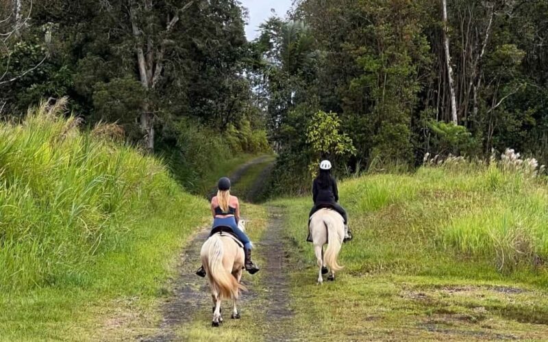 Hawaii: Small Group Rainforest Trail Ride - An In-Depth Look at the Rainforest Trail Ride Experience
