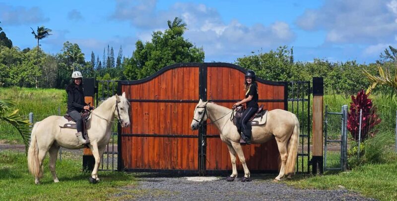 Hawaii: Small Group Rainforest Trail Ride - Who Would Love This Experience?