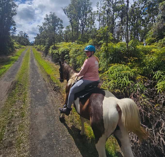 Hawaii: Small Group Rainforest Trail Ride - The Sum Up: Is the Small Group Rainforest Trail Ride for You?