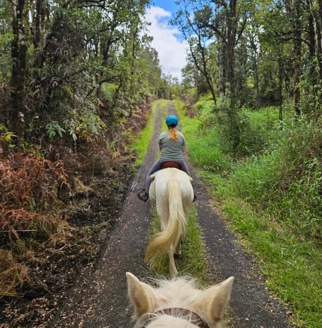 Hawaii: Small Group Rainforest Trail Ride - FAQ