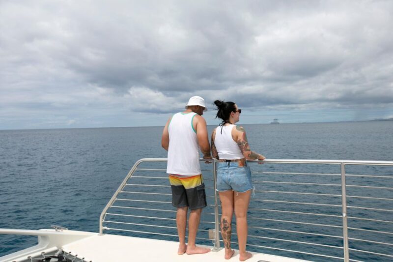 Hawaii: Waikoloa Whale Watch - Practical Tips for a Smooth Experience