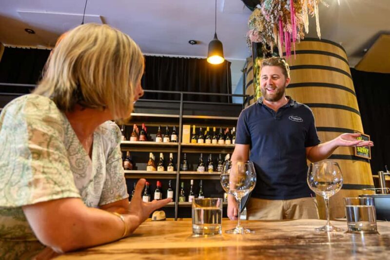 Hawkes Bay: Half-Day Wine Tour with Tastings and Cheeseboard - Exploring the Hawkes Bay Half-Day Wine Tour  