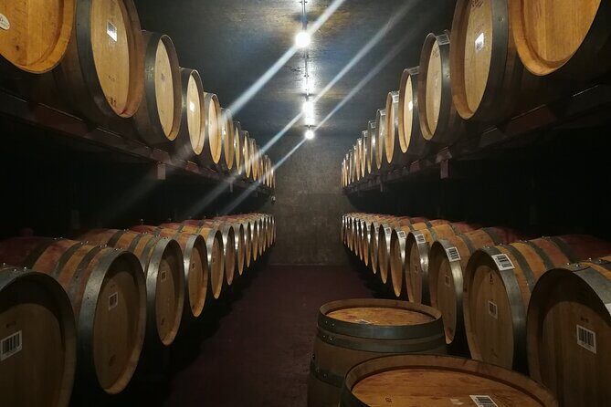 Hawkes Bay Wine Tour: Explore NZ's Great Wine Capital - Final Thoughts