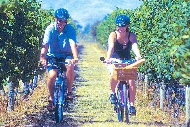 Hawkes Bay Wineries Self-Guided Bike Tour - Key Points