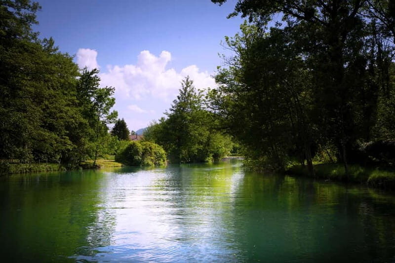 Head out from Annecy and Aix les Bains: Explore Chanaz and enjoy a cruise on the lake - Authentic Experiences and Highlights from Reviews