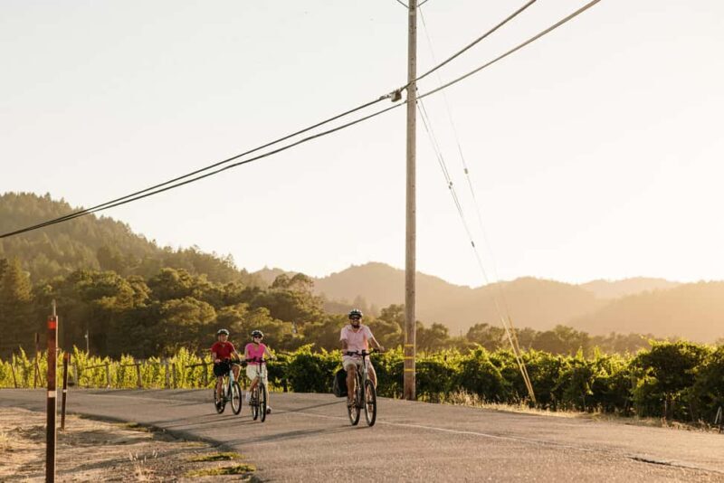 Healdsburg: Guided Electric Bike Wine Tour with Winery Stops - What Makes This Tour Special?
