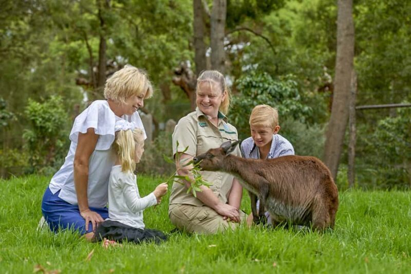 Healesville Sanctuary: General Admission Ticket - The Experience Overview: What to Expect at Healesville Sanctuary